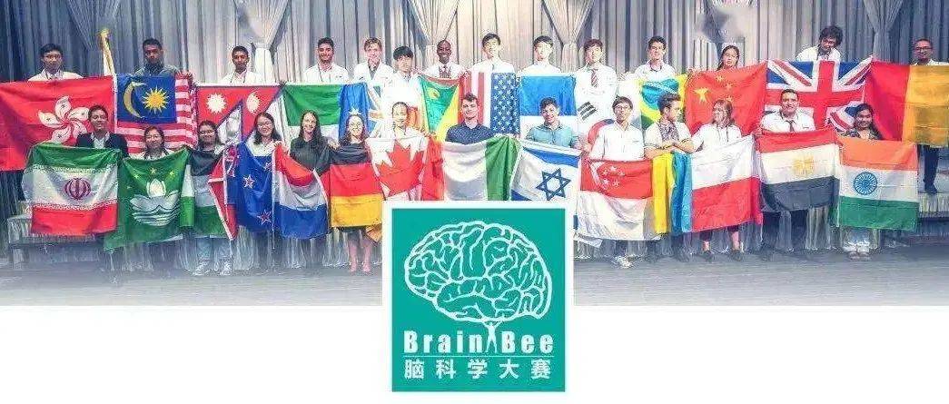 2023赛季 Brain Bee 脑科学活动训练营招募_大脑_生物_人类