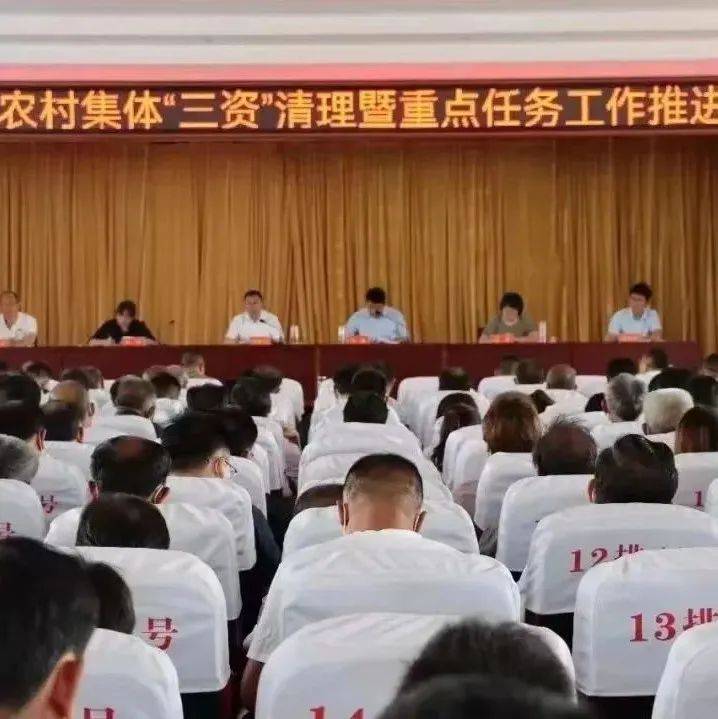 羊流镇:党建引领破解三大难题 扎实推进“三资”清理工作清就真宣传