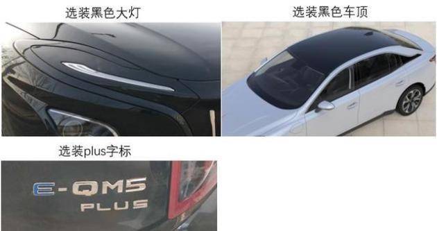 红旗E-QM5 PLUS 闪耀红旗科技之光 绿动新生 E路领航_搜狐汽车_搜狐网
