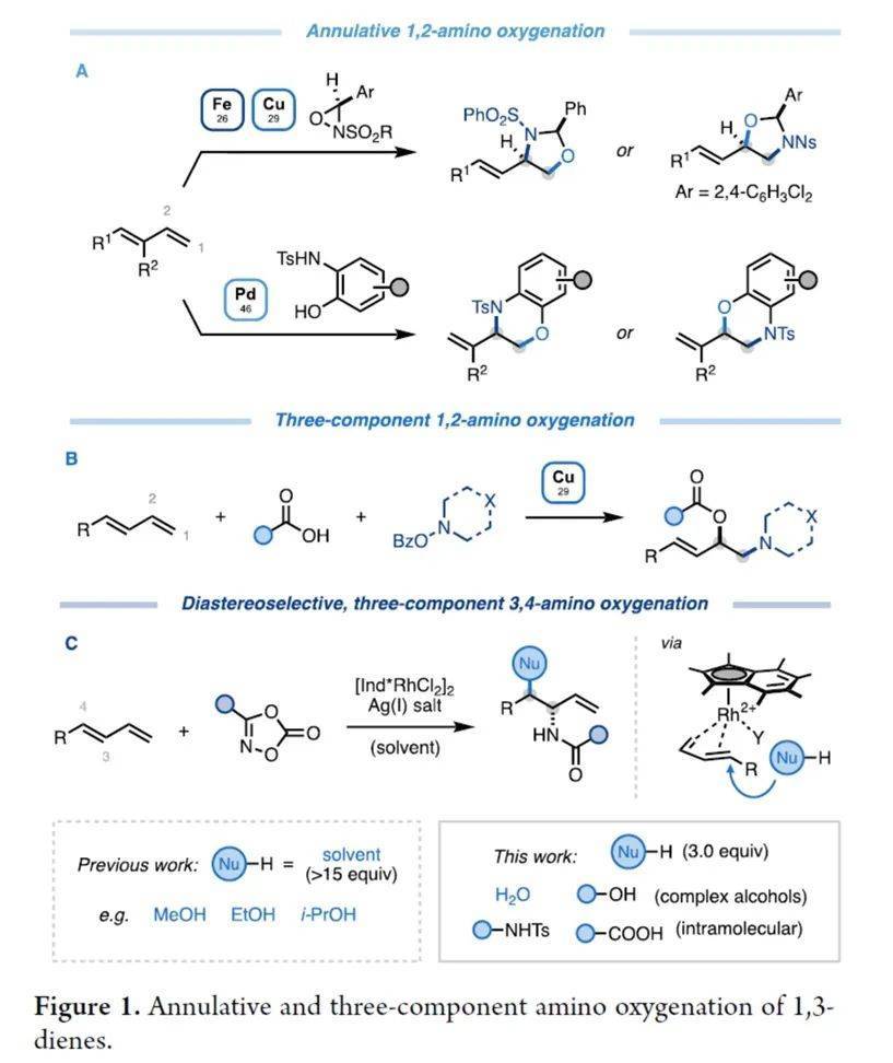 Tomislav Rovis课题组ACS Catal.：1,3-二烯的分子内/间的3,4-双官能团化反应_选择性_Scheme_氧化