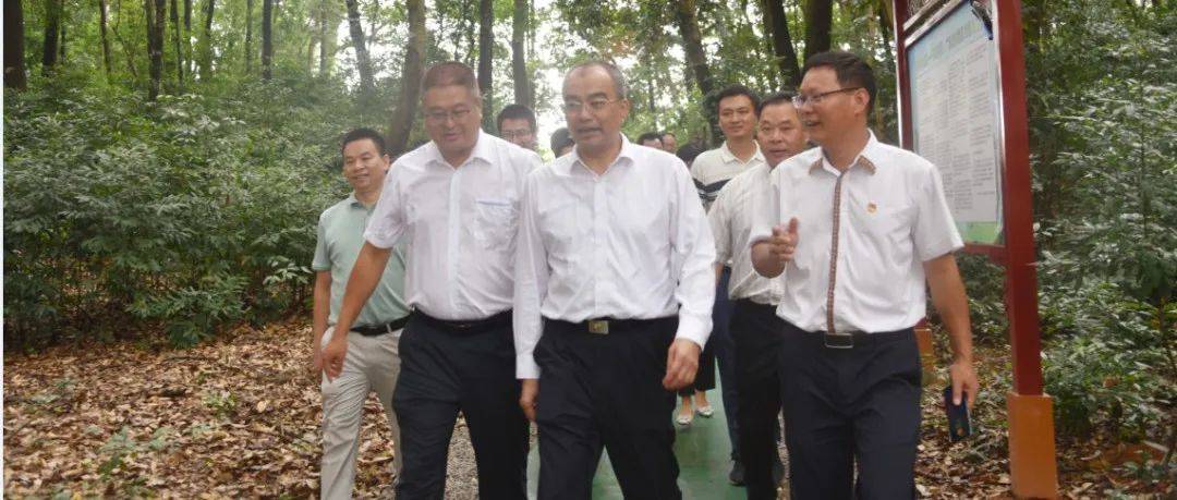 市委副书记杨安队到一六镇调研乡村振兴工作 生产 发展 服务