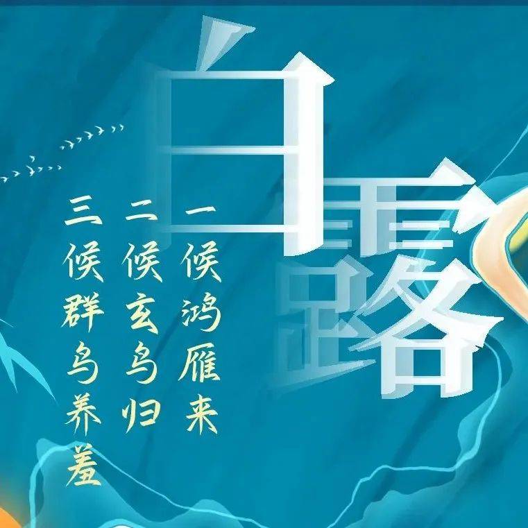 24节气 新”解•白露丨渐知秋实美刘晓婧范金鑫罗燕