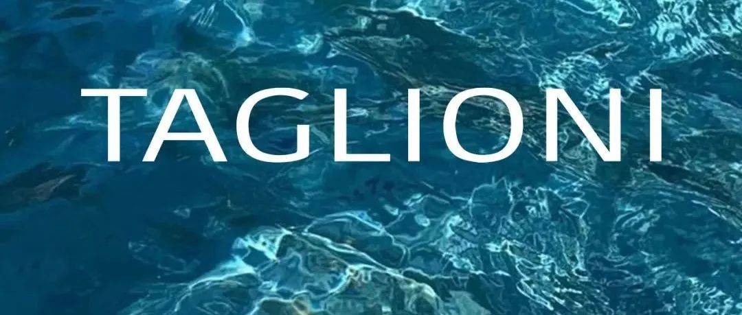 S/S 2023深圳时装周｜TAGLIONI：极简金属狂潮，勾勒女性气场_品牌_赵丽杰_廓形