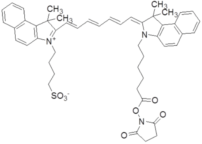 吲哚菁绿（ICG）一种近红外I区荧光染料_组织_肿瘤_nm