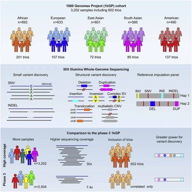 Cell:利用全基因组测序扩展和更新了 千人基因组计划”资源变异样本genomes