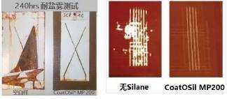 帝添科技发展（上海）有限公司CoatOSil MP 200 硅烷与水性体系广泛兼容_Silane_涂料_产品