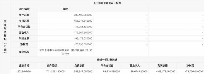 上半年净亏损超7亿:岚图汽车披露首次外部股权融资信息 刘展术 销量 发展