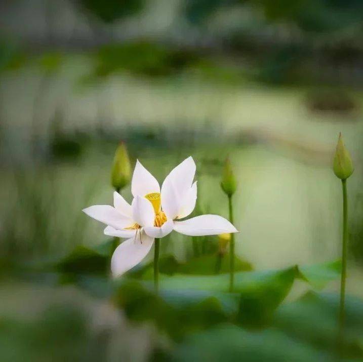 余生,静而不争(深度好文)生活时间日子