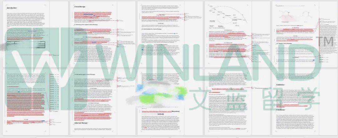 重磅！500+能拿A*的EPQ选题来了！涵盖医学、工程、数学、政治、文学、心理学 ..._Should_their_points
