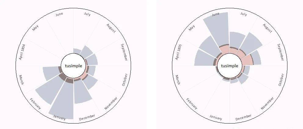 向经典致敬：南丁格尔玫瑰图 | tusimpleBI 一键出图_图表_Excel_图例
