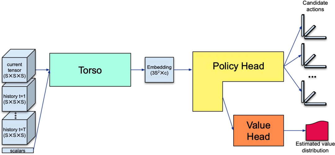 DeepMind攻克50年数学难题！AlphaZero史上最快矩阵乘法算法登Nature封面_问题_游戏_算法