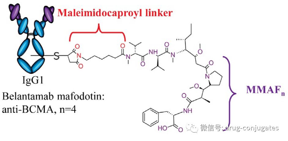 FDA已批准的ADC药物专利深度分析_linker_抗体_卡奇