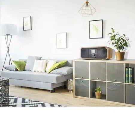 【新品速递】纯粹真空管放大：Echowell Audio EchoElite Vi一体式真空管音响_广播_网络线_功能