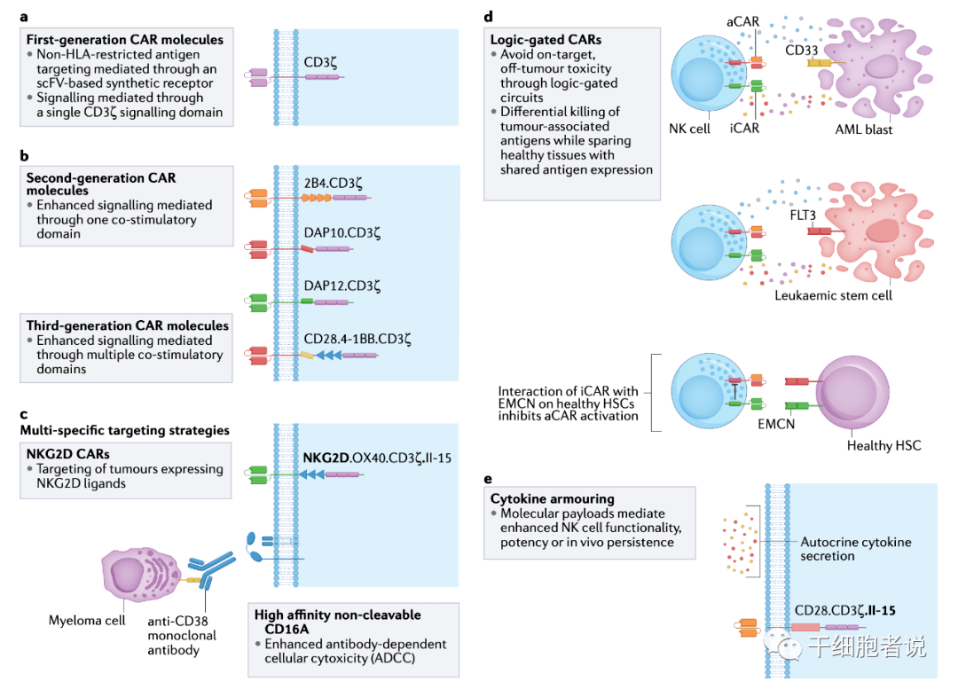 【科学前沿分享】Nat Rev Cancer：NK细胞疗法未来方向_来源_肿瘤_临床