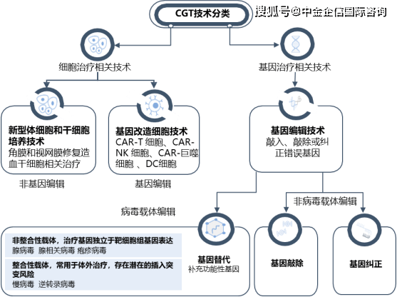 2022年细胞/基因治疗（CGT）产业发展战略布局分析及投资环境可行性评估预测_研究_预测_投资