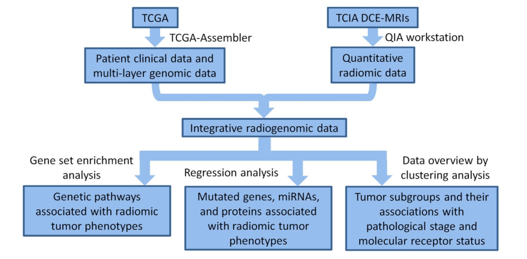 细说影像组学+生信研究玩法迭代！看看你的研究在第几层？_生物学_关联_特征