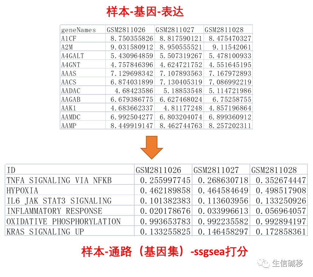 自定义你的WGCNA基因集功能表型，ssgsea分析+WGCNA分析全代码分享_样本_矩阵_文件