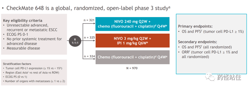 深度解析Checkmate-648：EMA和FDA不同态度，双免Yes or No? Chemo-free≠Risk-free_化疗_vs_研究