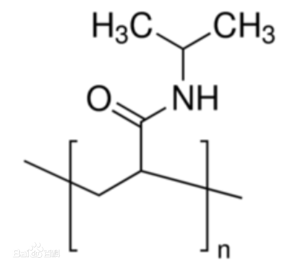 科普文章|什么是温敏材料PNIPAm？_凝胶_大分子_药物