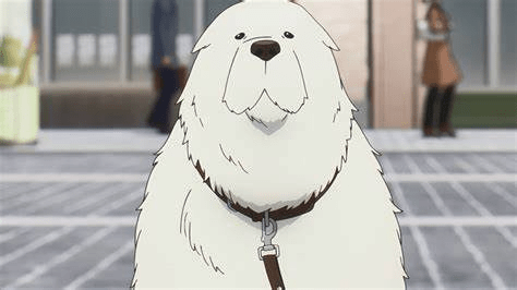 你也想要一只“邦德”吗？_狗狗_阿尼亚_猫狗