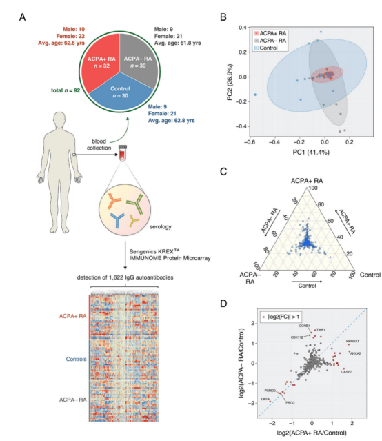 ACR速递 | ACPA阳性和ACPA阴性的类风湿性关节炎患者具有不同的循环自身抗体谱_血清_差异_检测