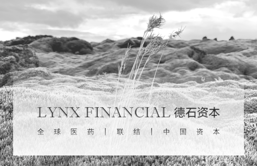 内推|医疗健康领域跨境交易的精品投行「德石资本」招聘顾问管培生投资硕士团队