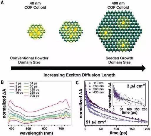 飞秒瞬态吸收光谱（fs-TAS）原理及应用_研究_激发态_样品