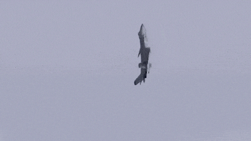 能把“空中舞蹈”跳得这么好的，歼20飞行员简直了不起_动作_机头_机动