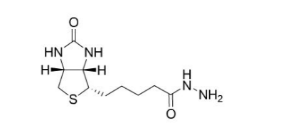 生物素biotin标记小分子物质/烟曲霉素/维甲酰胺/FA叶酸/PTX紫杉醇/氨基己酸_合成_化学_维生素