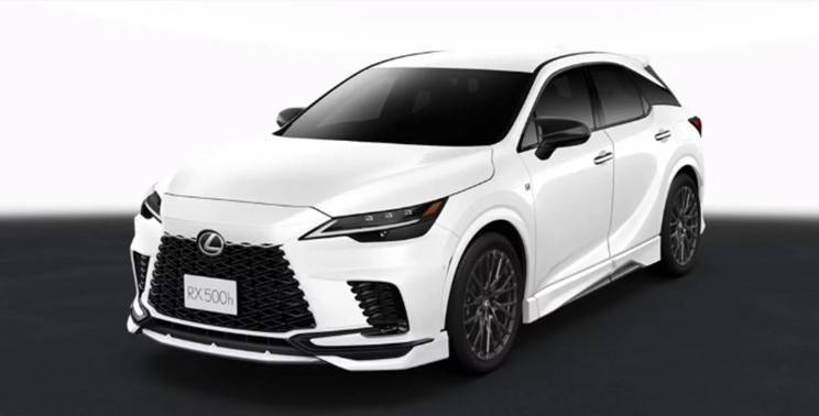 更宽体更低趴，雷克萨斯RX TRD专属运动套件官图_搜狐汽车_搜狐网