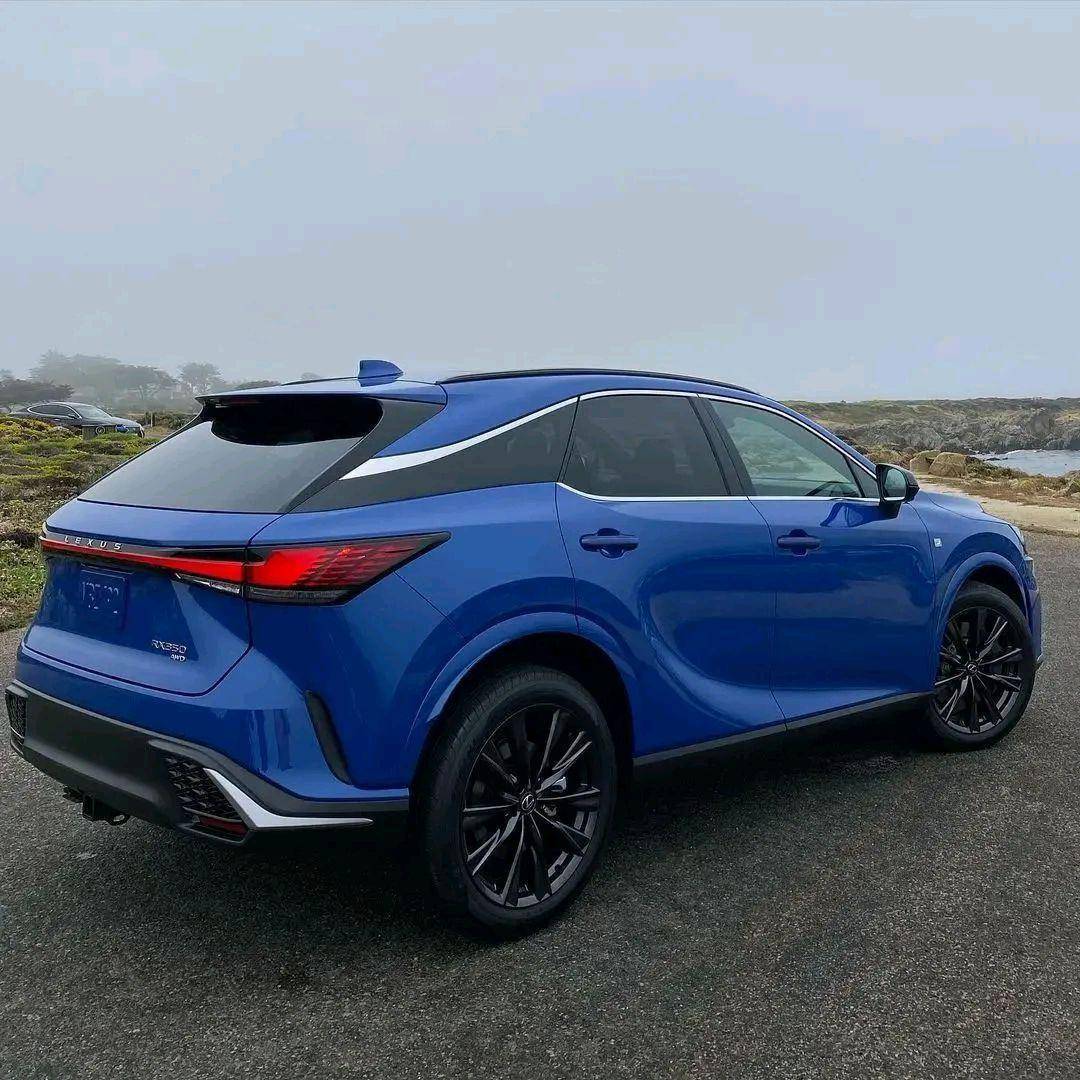 雷克萨斯RX“售价曝光”，竞争力十足，2.4T引擎表现优异，真犀利_搜狐汽车_搜狐网