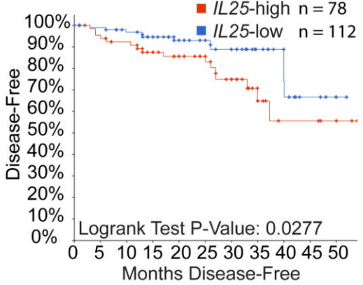 IL-25：又一个矛盾的肿瘤免疫靶点_细胞因子_driven_McKenzie