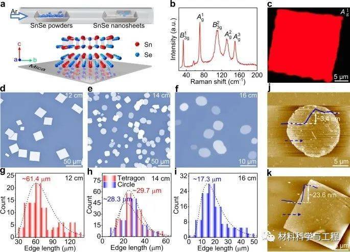 武大《Nature》子刊：新型室温二维多铁材料取得重要进展！_SnSe_合成_器件
