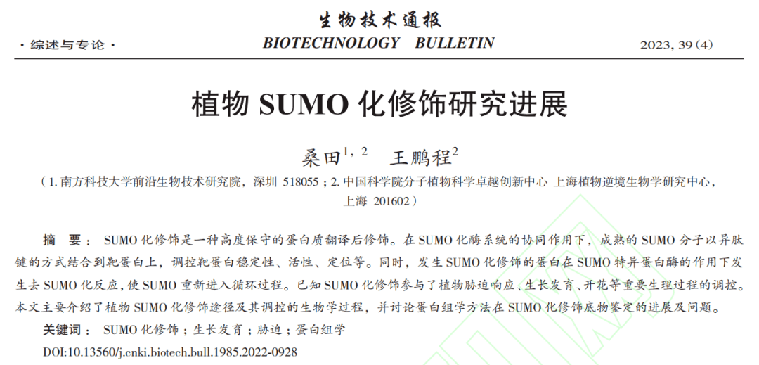 亮点文章 | 植物 SUMO 化修饰研究进展_蛋白_调节_调控