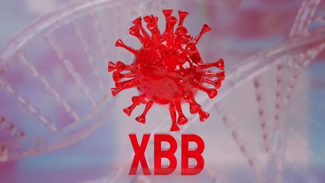 已发现16例！中疾控通报XBB本土病例情况 | 杭州检出XBB、BQ.1等毒株，会致二次感染吗？盛吉芳回应_变异_人群_分支