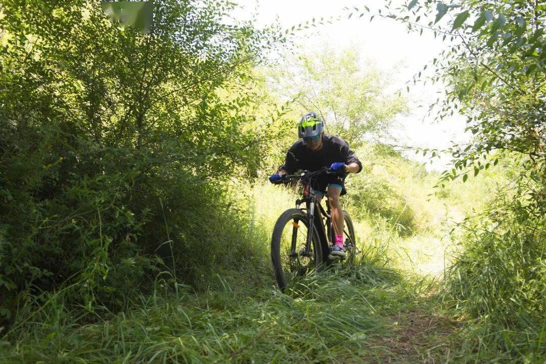 e⁺Cycling助力美好的生活-E骑玩山林_搜狐汽车_搜狐网