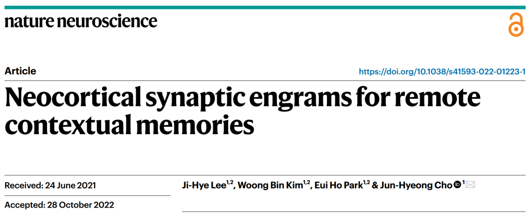 Nat Neurosci:往事历历在目的神经生物学机制-新皮层突触印记调节远期情景型记忆_细胞_痕迹_恐惧