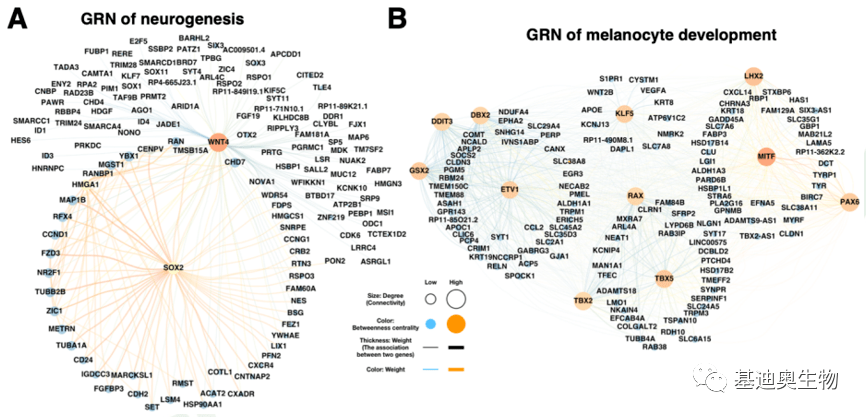 你会用WGCNA分析单细胞数据嘛？scWGCNA应用思路，干货满满_基因_模块_进行