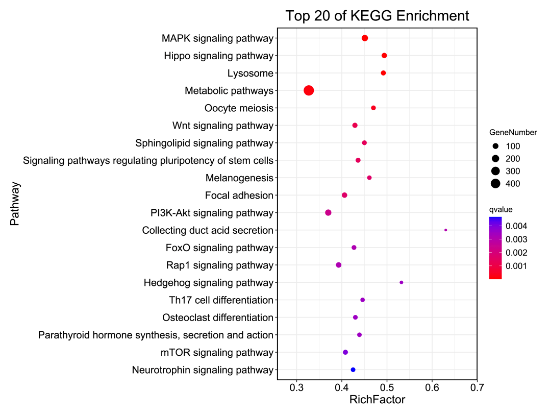 KEGG、GO、DO、Reactome富集分析一键拿捏!_进行_基因组_工具