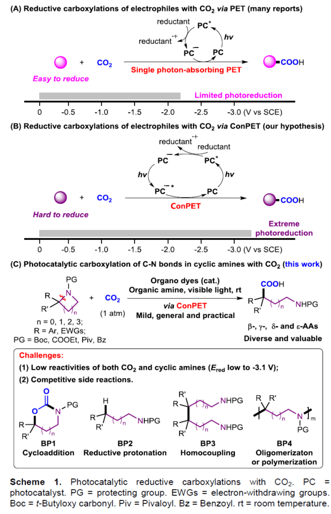Angew：四川大学余达刚与叶剑衡课题组可见光催化CO2参与的环胺化合物C-N键羧基化反应合成多种氨基酸_Chem_产物