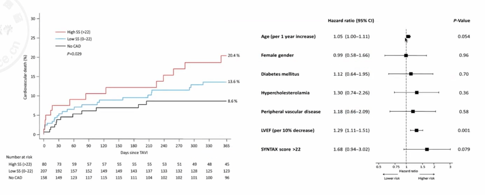 心讲座｜赵杰：TAVR患者术中与术后PCI的经验介绍_病变_治疗_冠脉