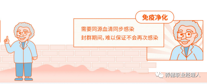 著名的“McREBEL程序”与“Madec 20条计划”_全进_仔猪_控制