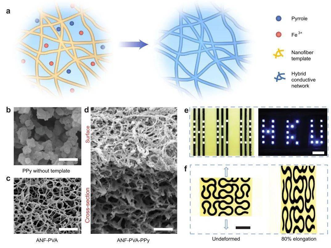 前沿2023：水凝胶2月十大研究突破_网络_材料_导电
