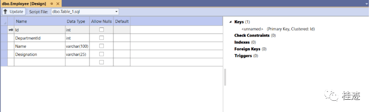 Entity Framework Core 数据库优先 Dbo Company Server