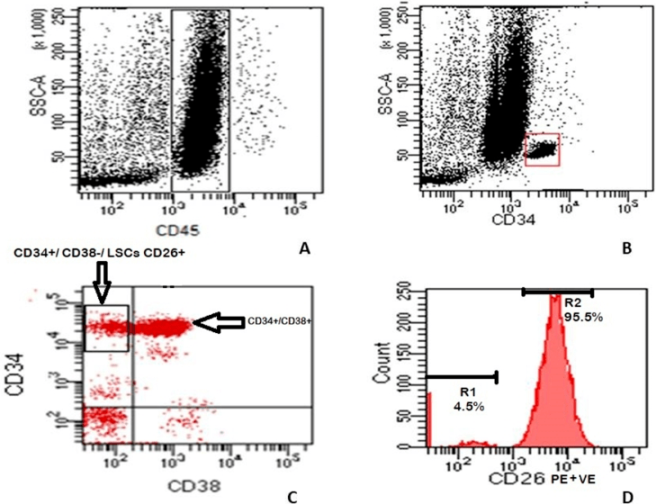CD26在CML诊断和预后中的作用_干细胞_粒细胞_Martin