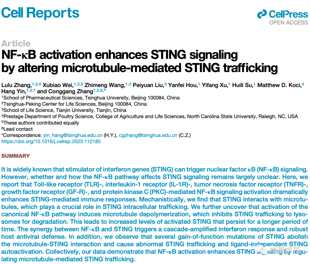 最新研究成果 | 清华大学药学院张从刚课题组及合作者发现NF-κB信号通路能够高效增强STING介导的先天免疫并揭示其作用机制_factor_机体
