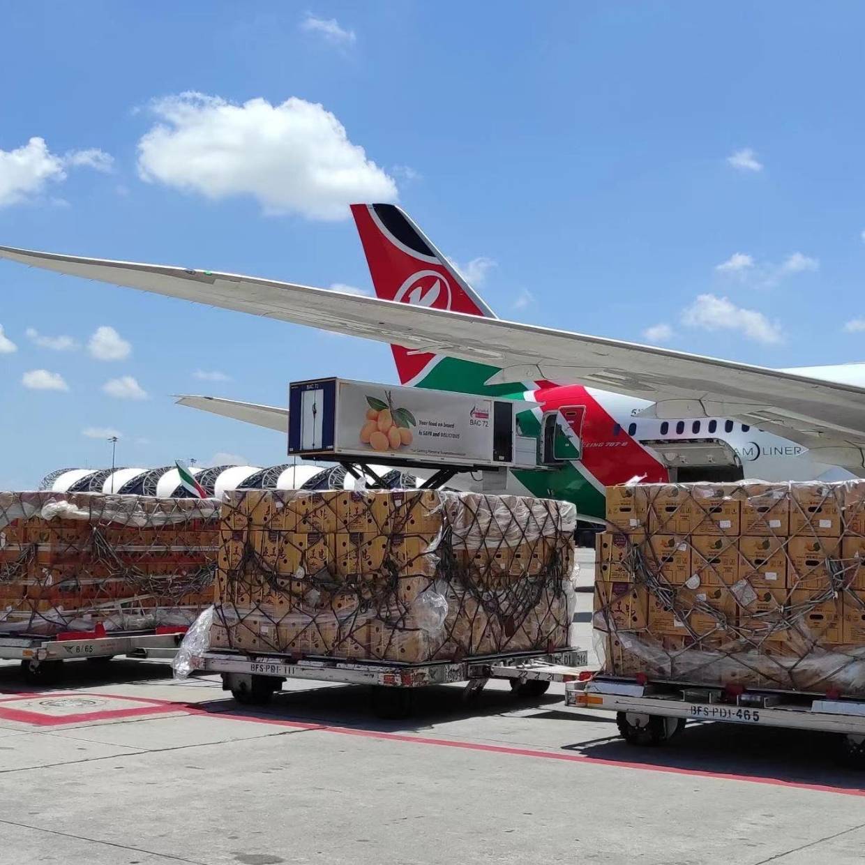 护肤品出口海运订舱流程_委托_报关_信息