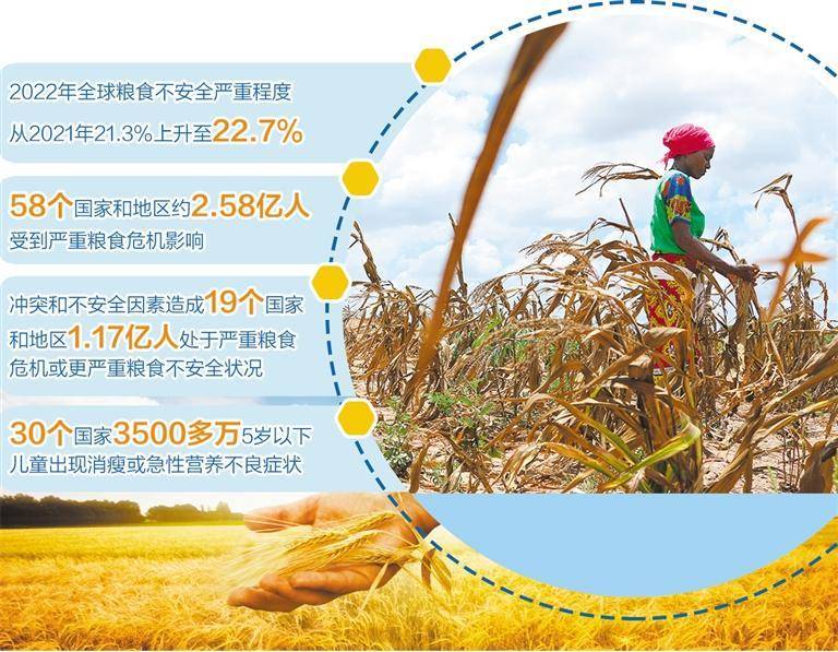联合国粮农组织发布报告显示——全球粮食危机进一步加剧_国家_严重_影响