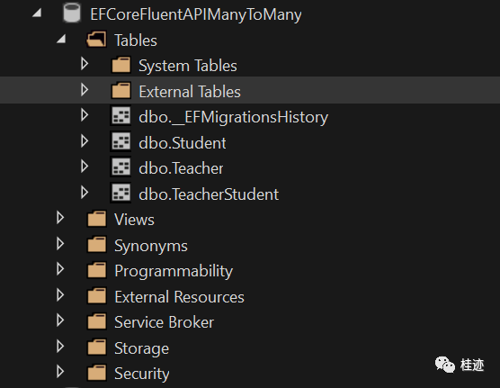 Entity Framework Core-使用Fluent API配置多对多关系_set_public_Teacher