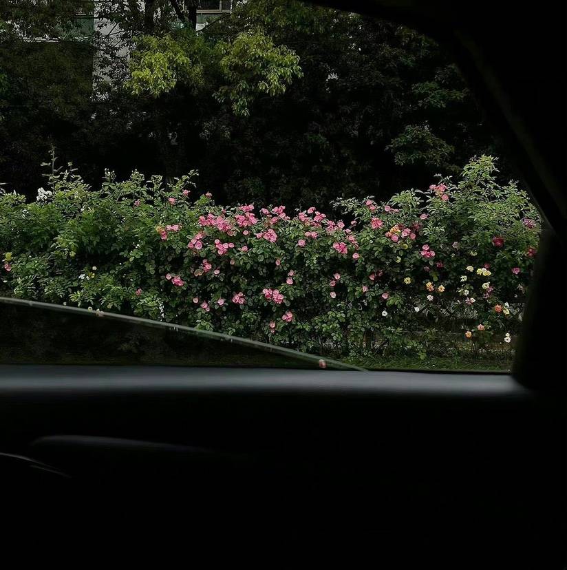 FIBA更新世预赛第二期实力榜：中国男篮跌至倒数第二，日韩紧逼澳大利亚_比赛_韩国队_排名